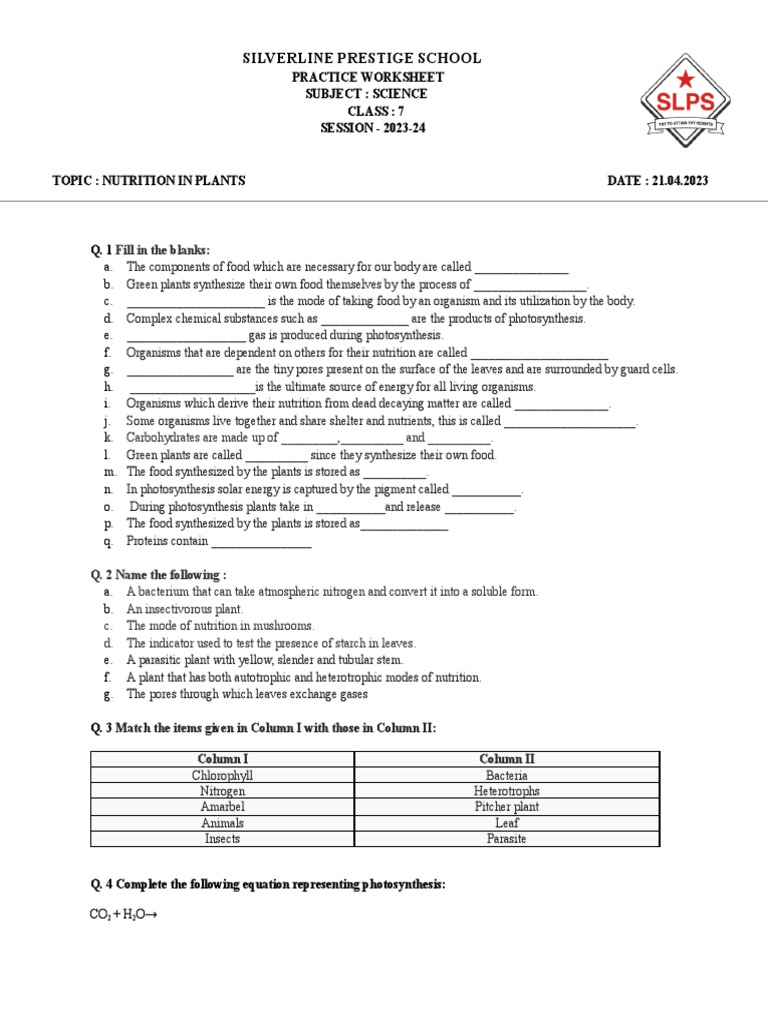 Ch1 Worksheet | PDF | Plants | Nutrition