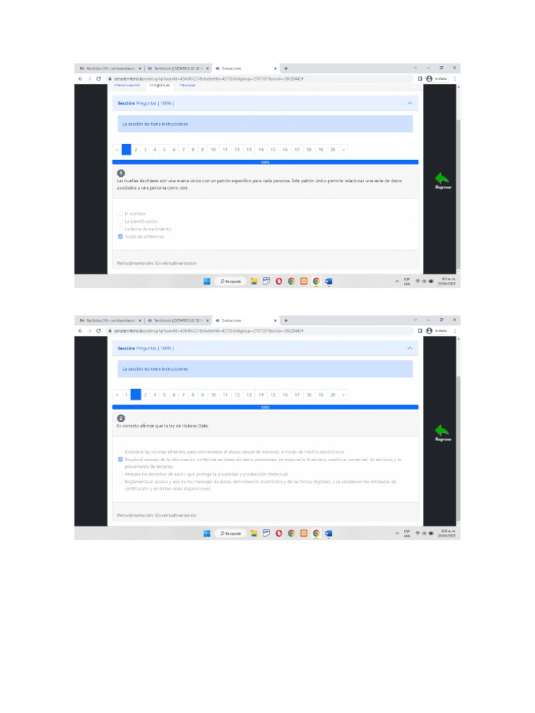 Cuestionario Protección Digital. AA2-EV01. | PDF