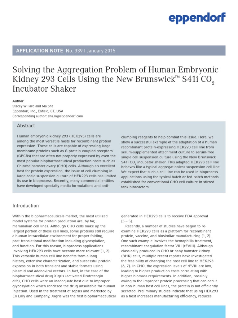 Solving The Aggregation Problem of Human Embryonic Kidney 293 Cells ... Solving The Aggregation Problem of Human Embryonic Kidney 293 Cells ...