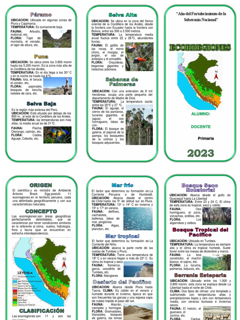 Triptico de Las Ecorregiones Del Perú | Descargar gratis PDF | Clima ...