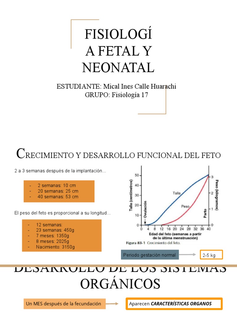 Capitulo 84 Fisiologia Fetal y Neonatal | PDF | Feto | Sistema circulatorio