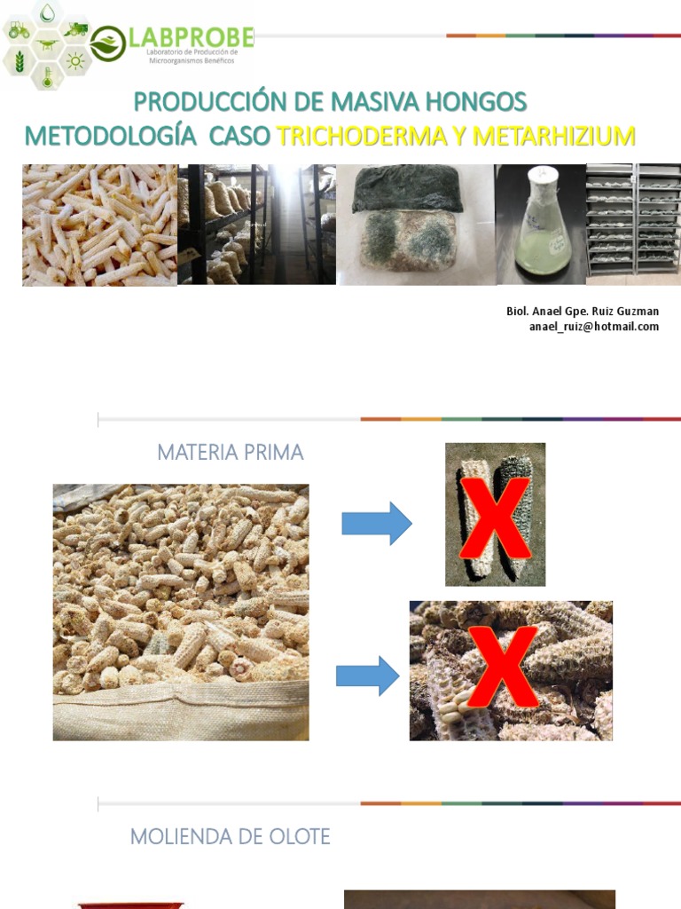 Produccion Masiva de Metodologia OLOTE | PDF