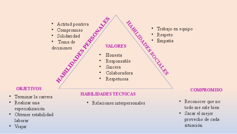 Habilidades y Valores Personales Clave | PDF