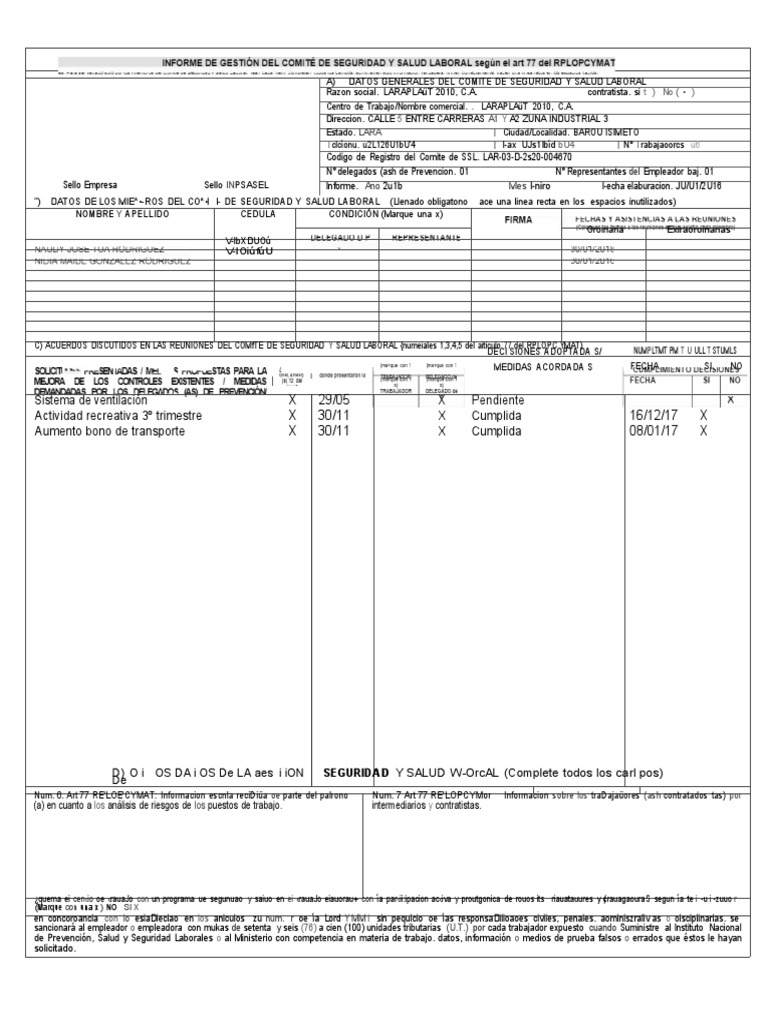 Informe Comité SSL Inpsasel | Descargar gratis PDF | Cuidado de la ...