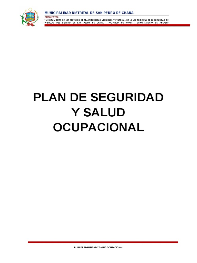 Plan de Seguridad en El Trabajo | PDF | Seguridad y salud ocupacional | Valores