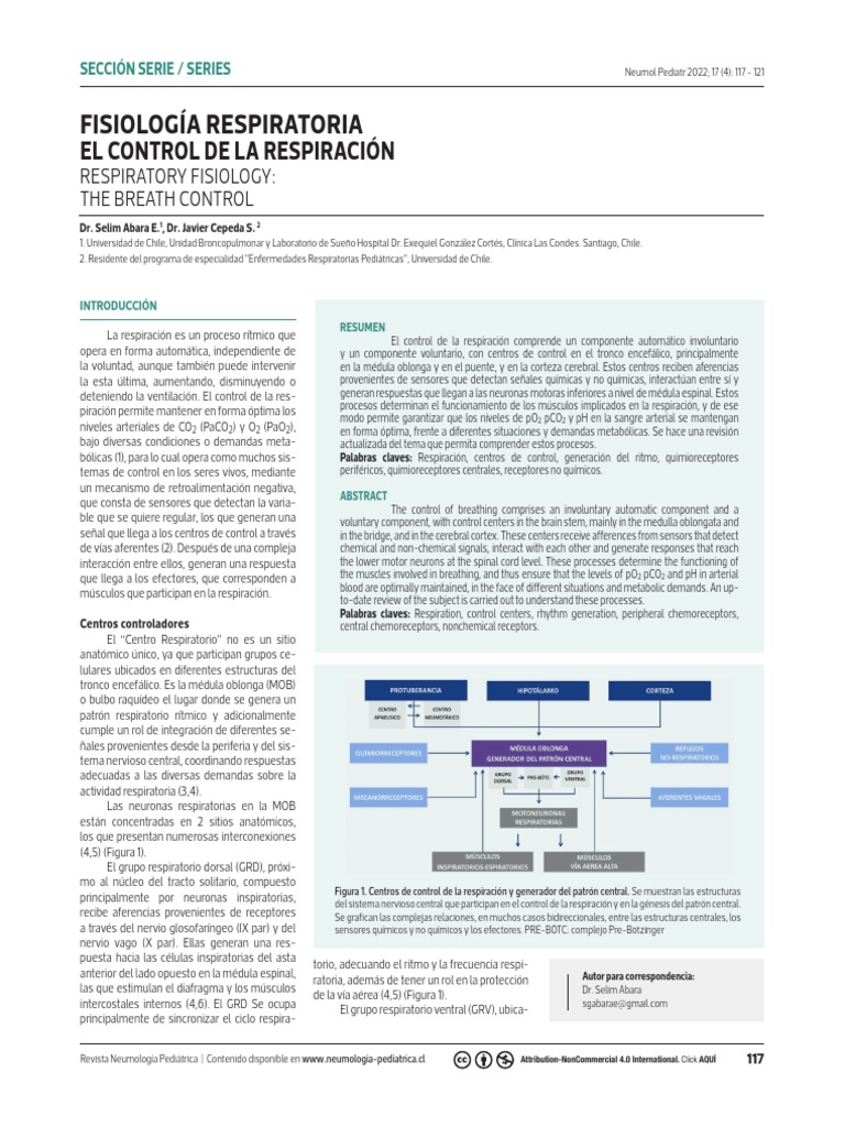 Fisiología Respiratoria: El Control de La Respiración | PDF | Sistema ...