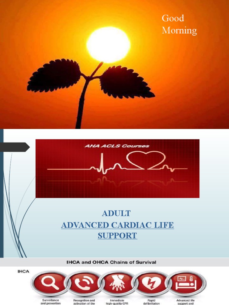 Acls Pdf Cardiopulmonary Resuscitation Cardiac Arrest