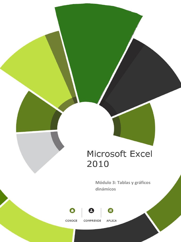 Excel Módulo 3 - Tablas y Gráficos Dinámicos | PDF | Hoja de cálculo | Microsoft Excel