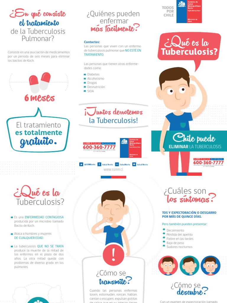 Triptico Que Es La TBC | PDF | Tuberculosis | Microbiología