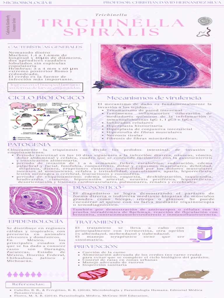 Trichinella spiralis: Características generales, ciclo biológico ...