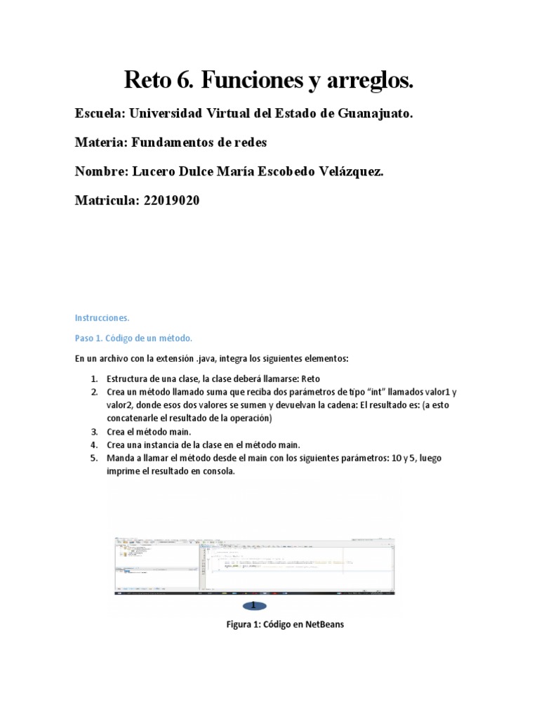 Reto 6 Funciones y Arreglos | PDF