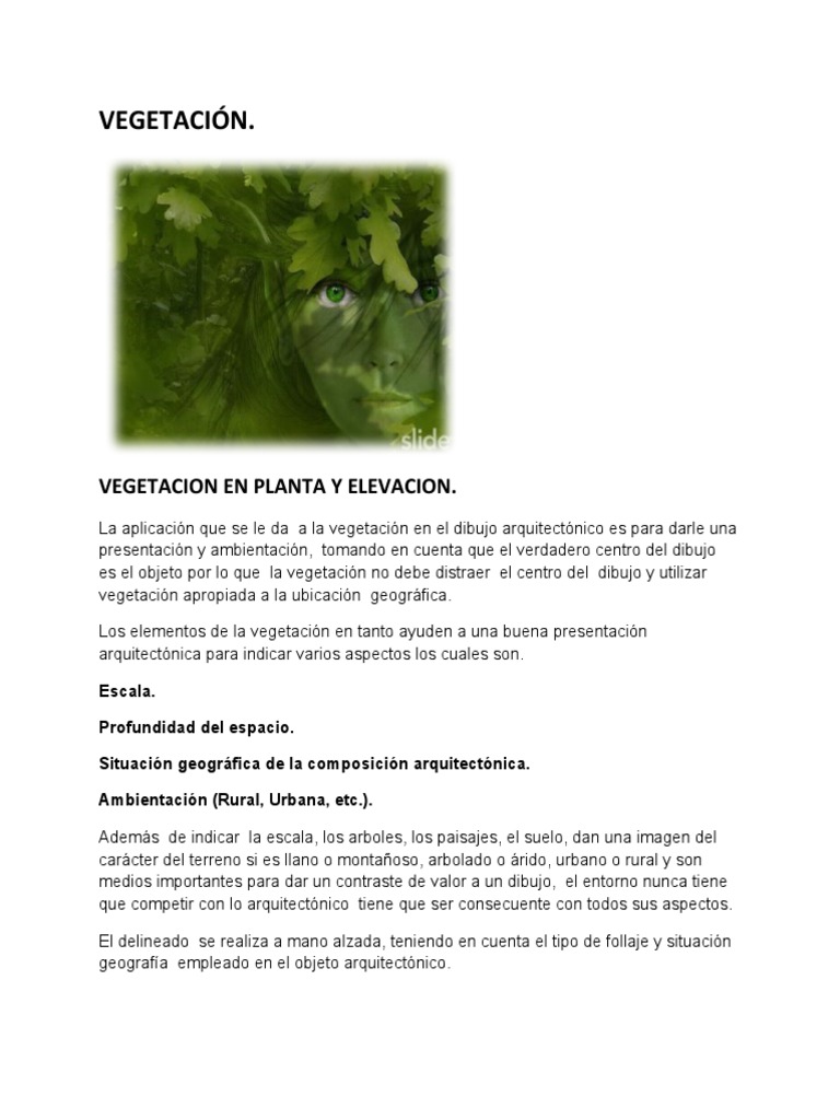 VEGETACIÓN | PDF | Ciencias de la Tierra