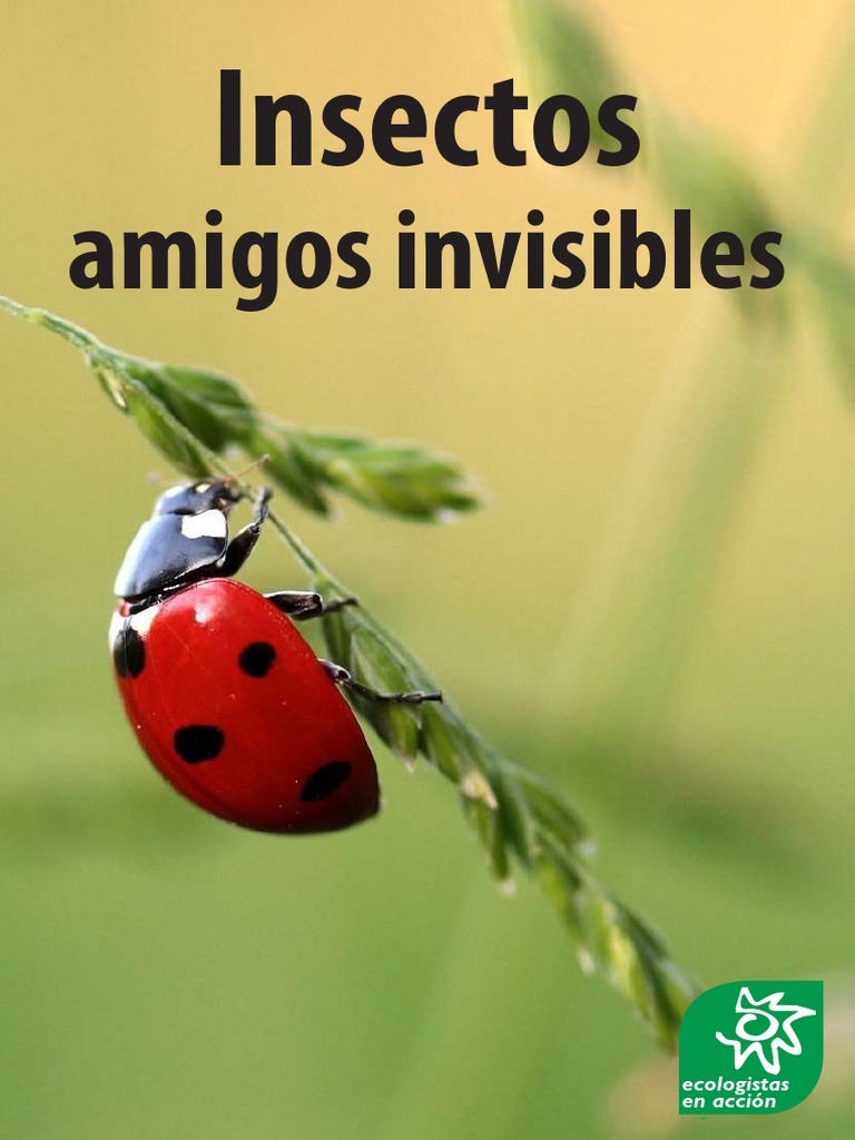Cuaderno Insectos Amigos Invisibles | PDF | Insectos | Depredación