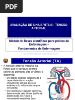 Fleimao | PDF | Medicina Clínica | Especialidades médicas