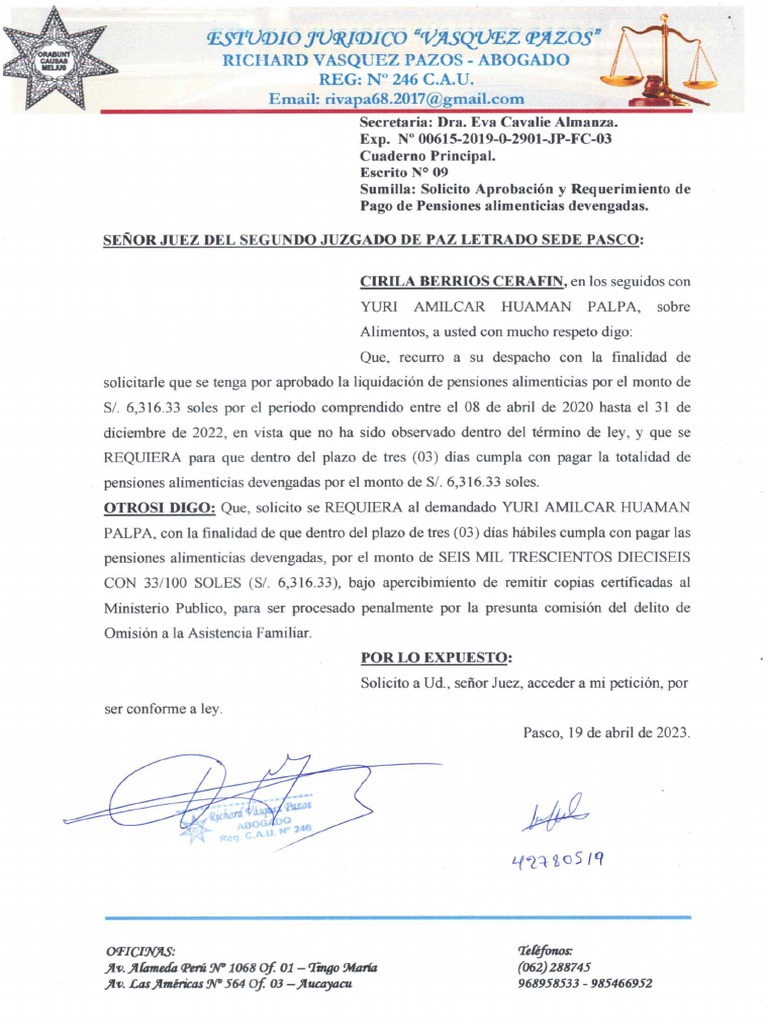 Requerimiento y Aprobacion de Cirila Berrios Cerafin | PDF