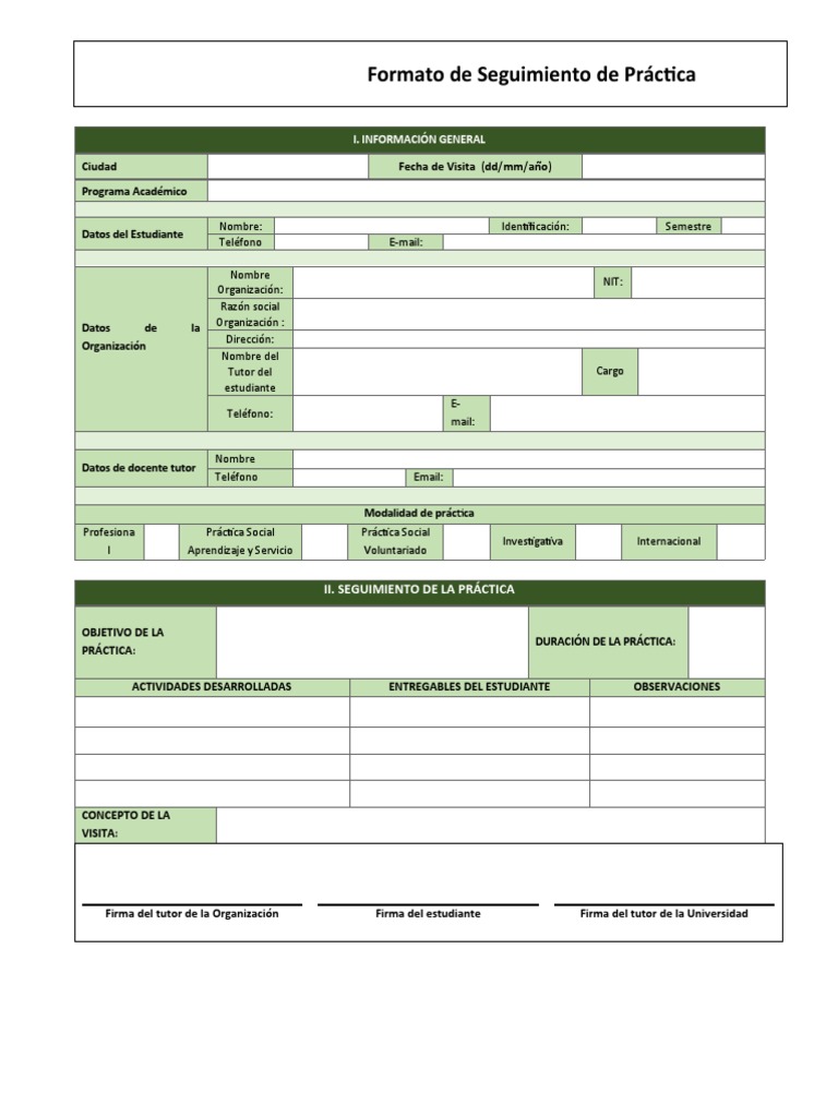 6.formato Seguimiento Practica | PDF