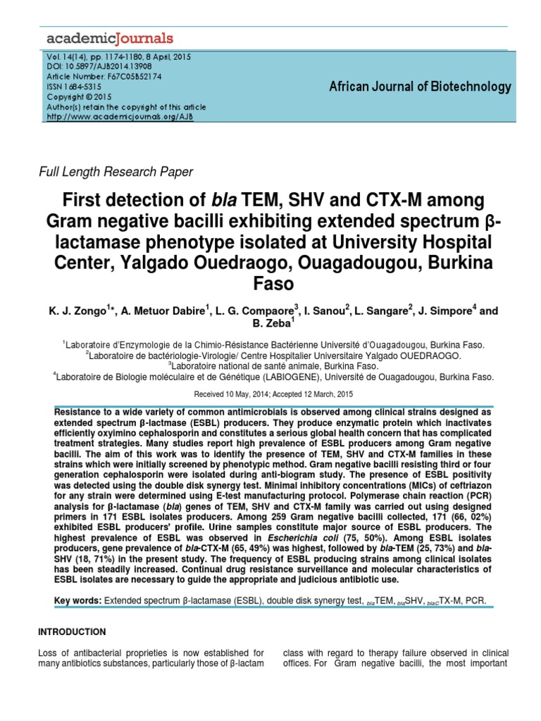 First Detection of Bla TEM, SHV and CTX-M Among | PDF | Beta Lactamase ...