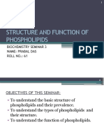 Functions and Composition of Succus Entericus | PDF | Digestive System ...