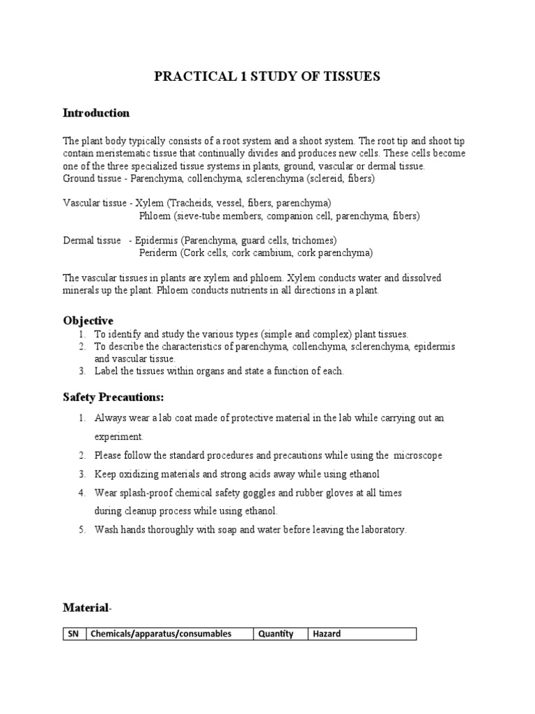 Practical 1 Study of Tissues | PDF | Tissue (Biology) | Plant Stem