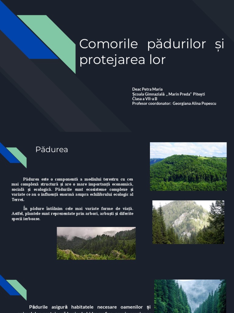 Comorile Pădurilor Și Protejarea Lor (3) - 1 | PDF