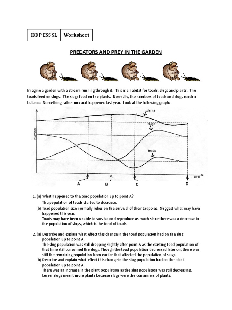 Predator - Prey - Worksheet Answers | PDF | Plants | Organisms