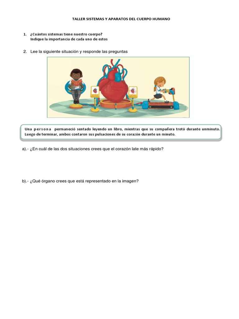 Sistemas Y Aparatos Del Cuerpo Humano Un Recorrido Por Los Sistemas