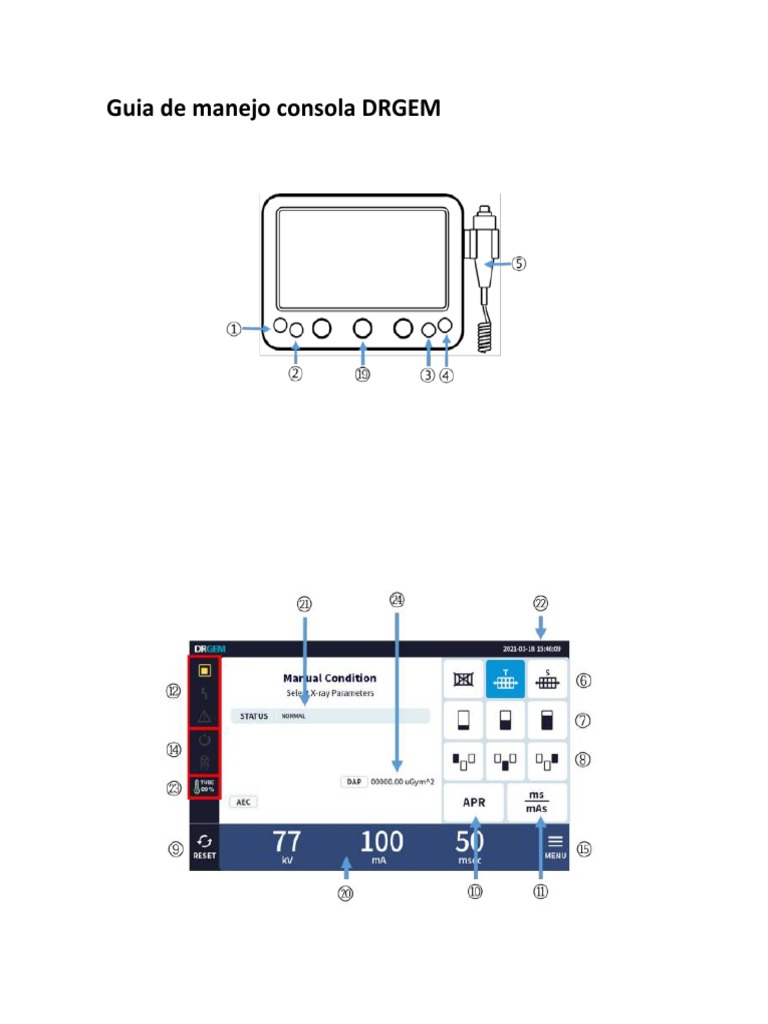 Guia de Manejo Consola DRGEM | PDF