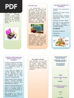 Triptico Lonchera Saludable | PDF | Alimentos | Nutrición