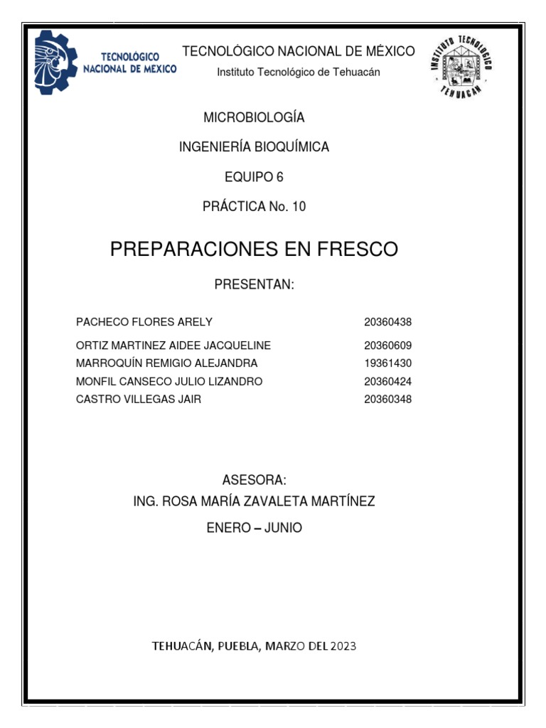 Practica 10 | PDF | Microorganismo | Las bacterias