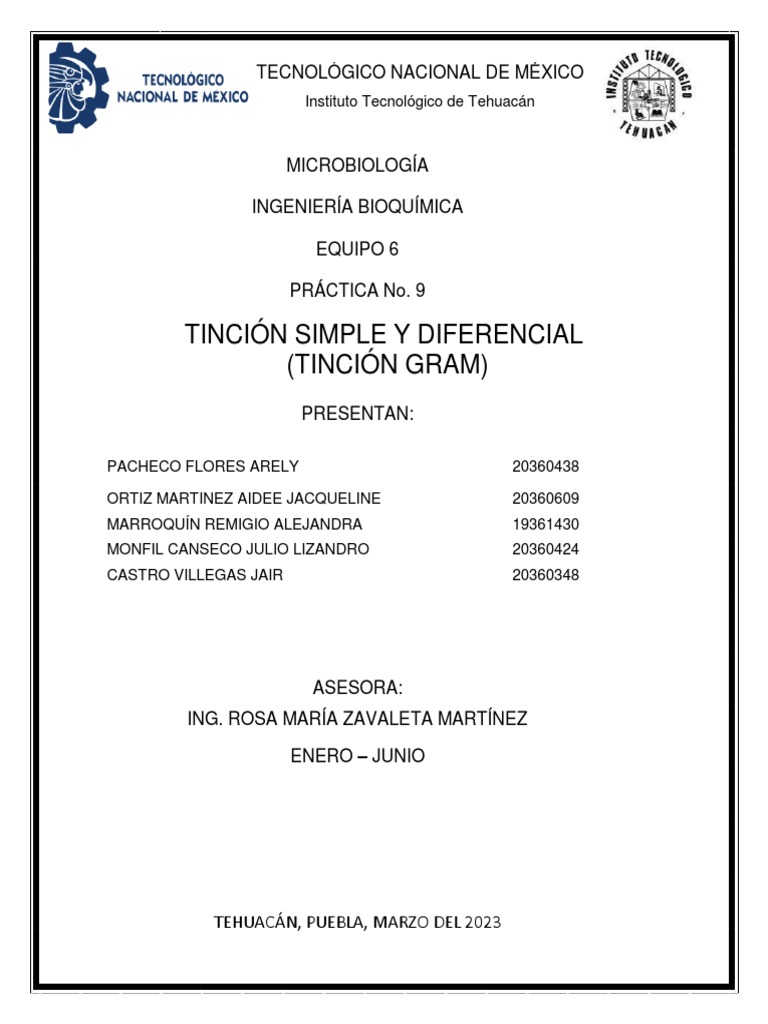 Practica 9 | PDF | Tinción | Bacterias Gram-negativo