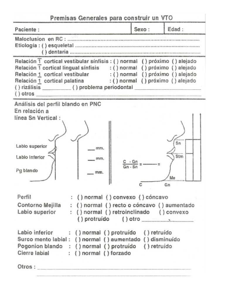 Premisas Basicas para Construir El VTO | PDF
