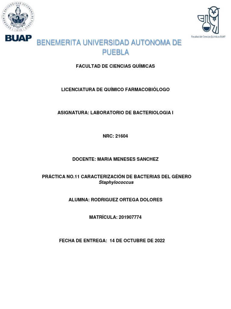 Practica 11 | PDF