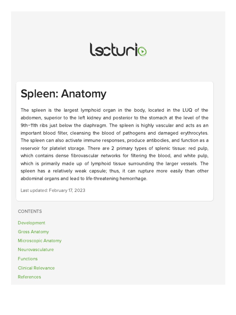 Gross Anatomy of Spleen | PDF | Spleen | Lymphatic System