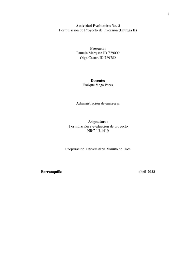 Proyecto de Inversion - Entrega Ii | PDF | Contabilidad | Sociedad