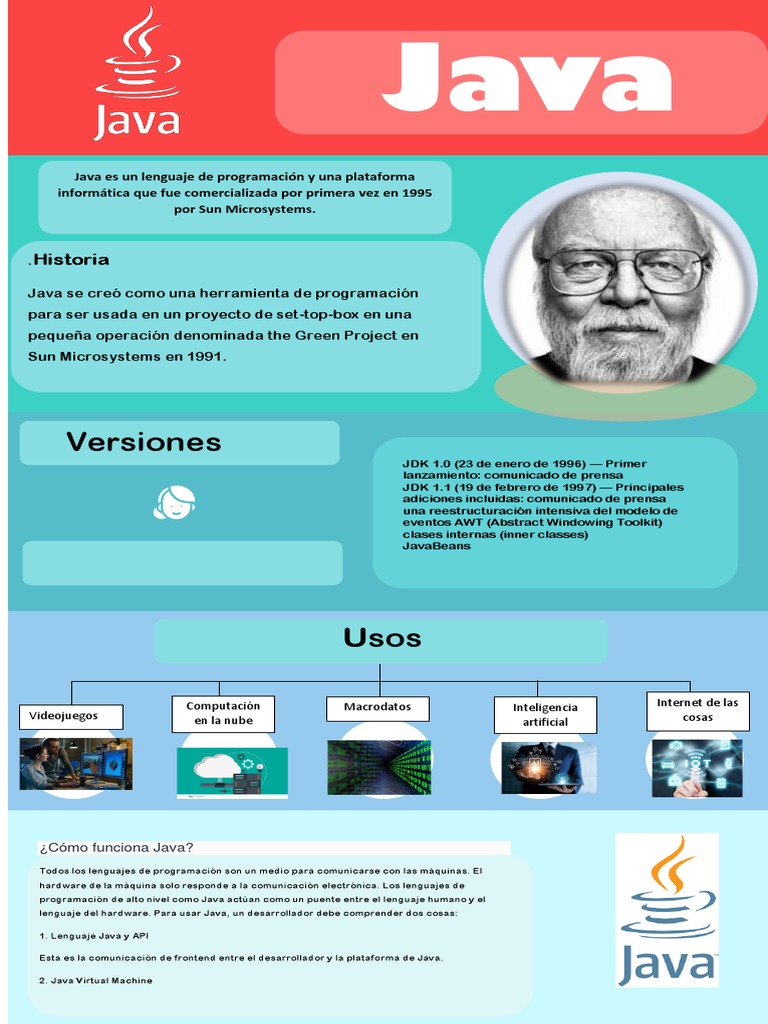 Infografia Lenguaje Java | PDF