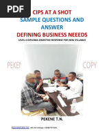 2024 CIPS Exam Sessions | PDF