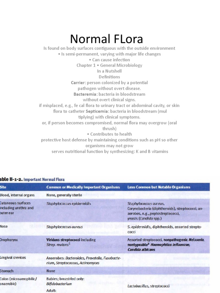 Micro Normal Flora | PDF | Science & Mathematics
