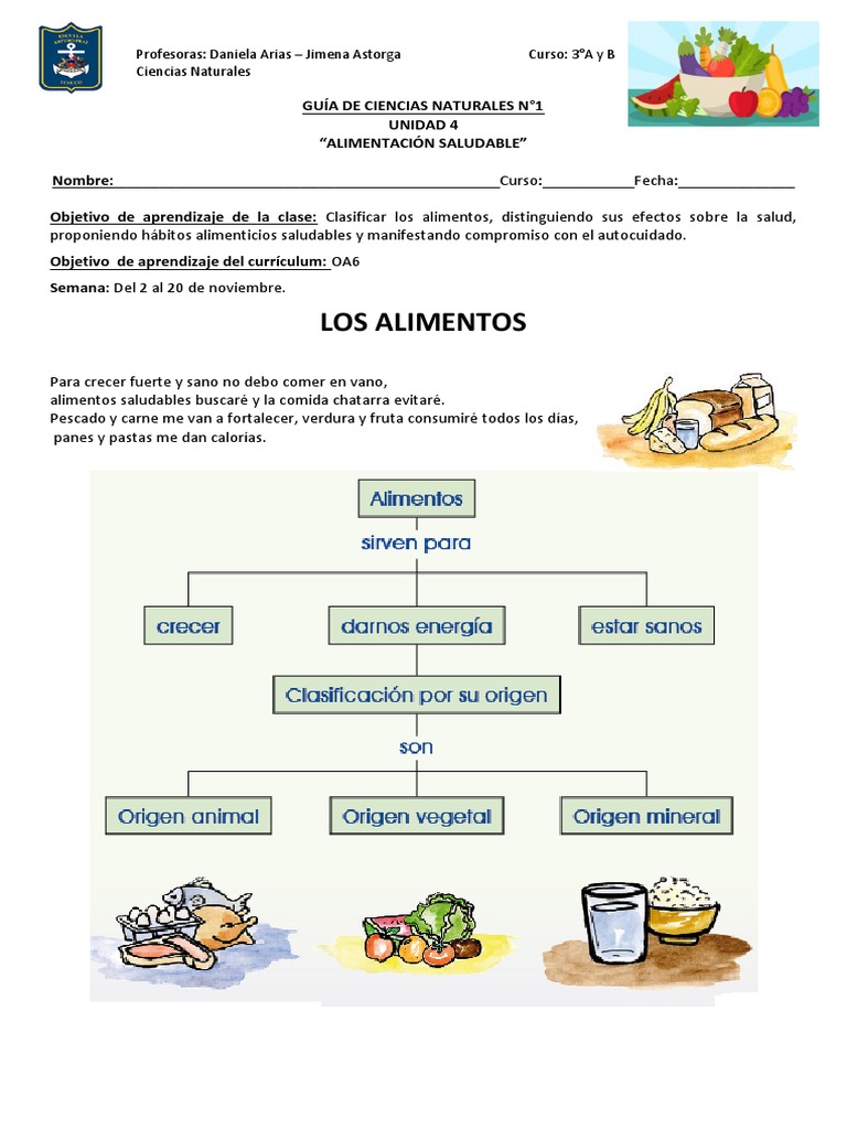 Ciencias 3ºa Guía 1 Alimentos Saludables Pdfagustin Pdf Alimentos