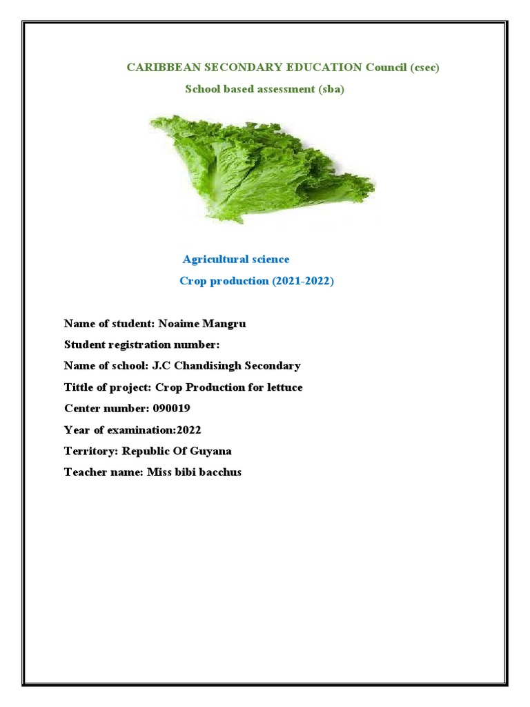 Noaime Sba (Crop) | PDF