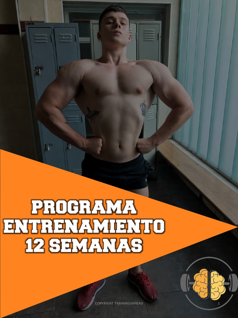 Plan Entrenamiento 12 Semanas POWERBUILDING TOMAS MAZZA Ztoyvm | Descargar gratis PDF | Músculo ...