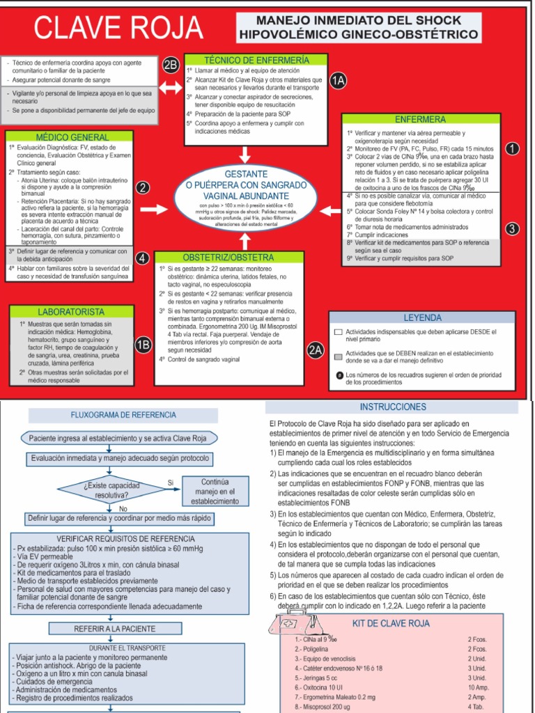 Claves Obstetricas | PDF