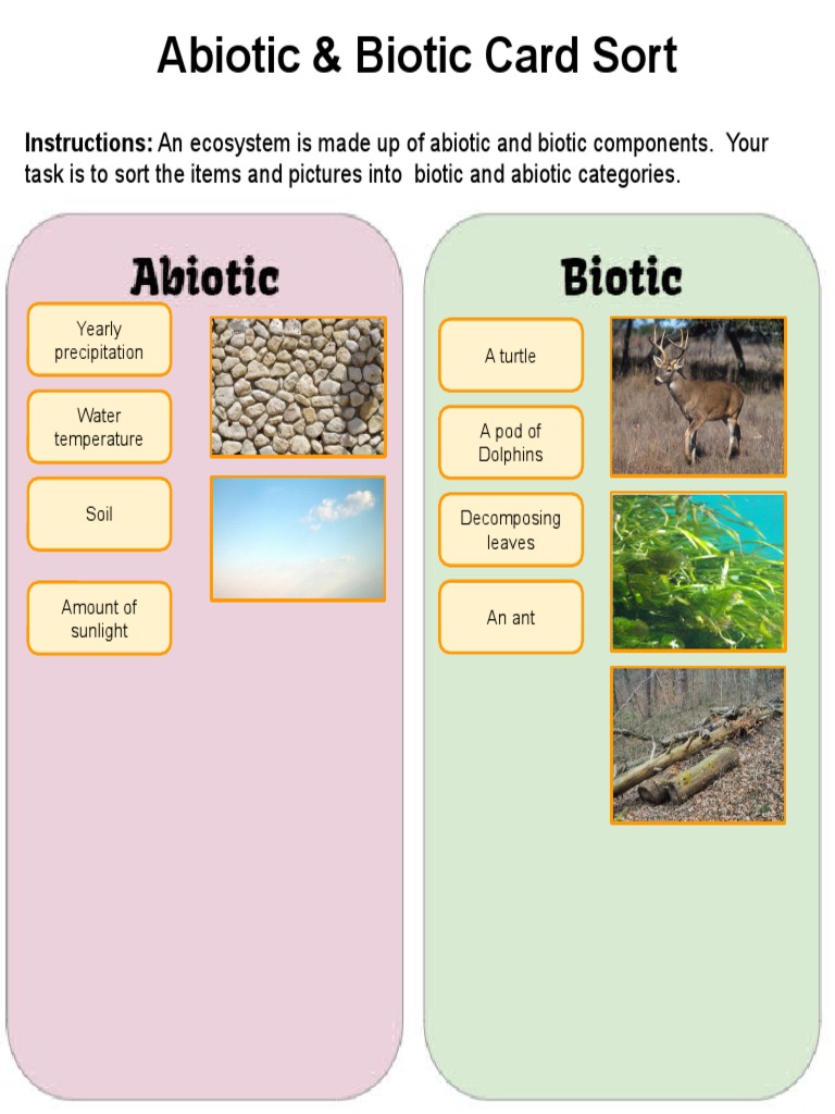 Abiotic vs Biotic Sorting Guide | PDF