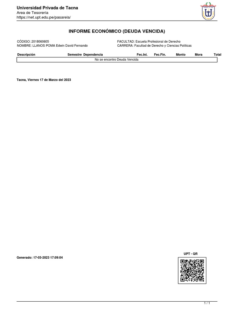 Informe Economico | PDF