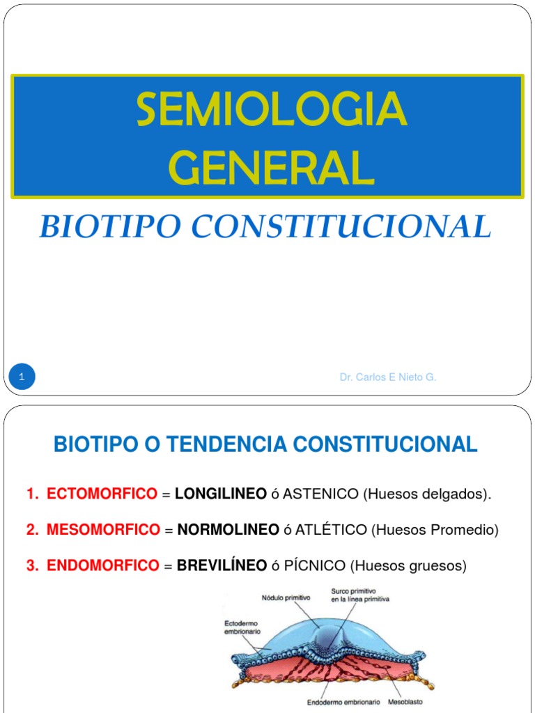 Biotipo Constitucional | PDF | Anatomía | Morfología (biología)