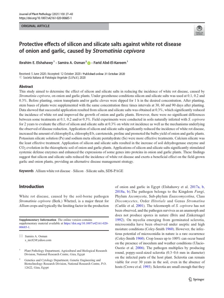 Protective Effects of Silicon and Silicate Salts Against White Rot Disease of Onion and Garlic ...