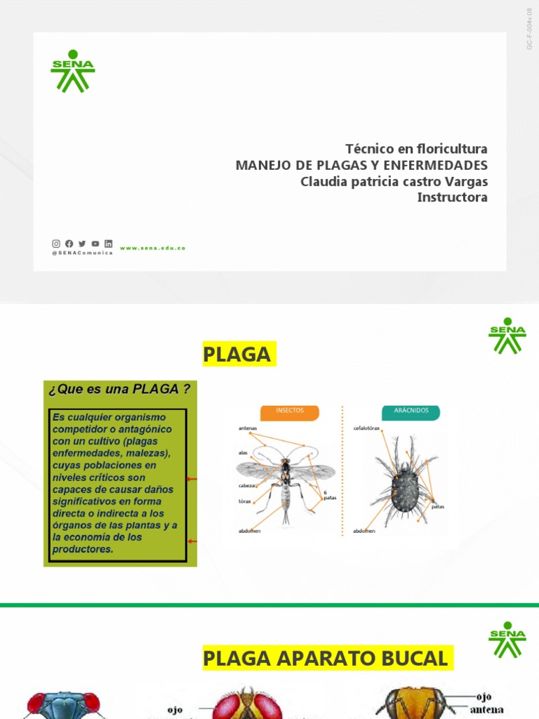 PRESENTACION MIPE | PDF