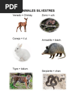 Animales en Xinka | PDF