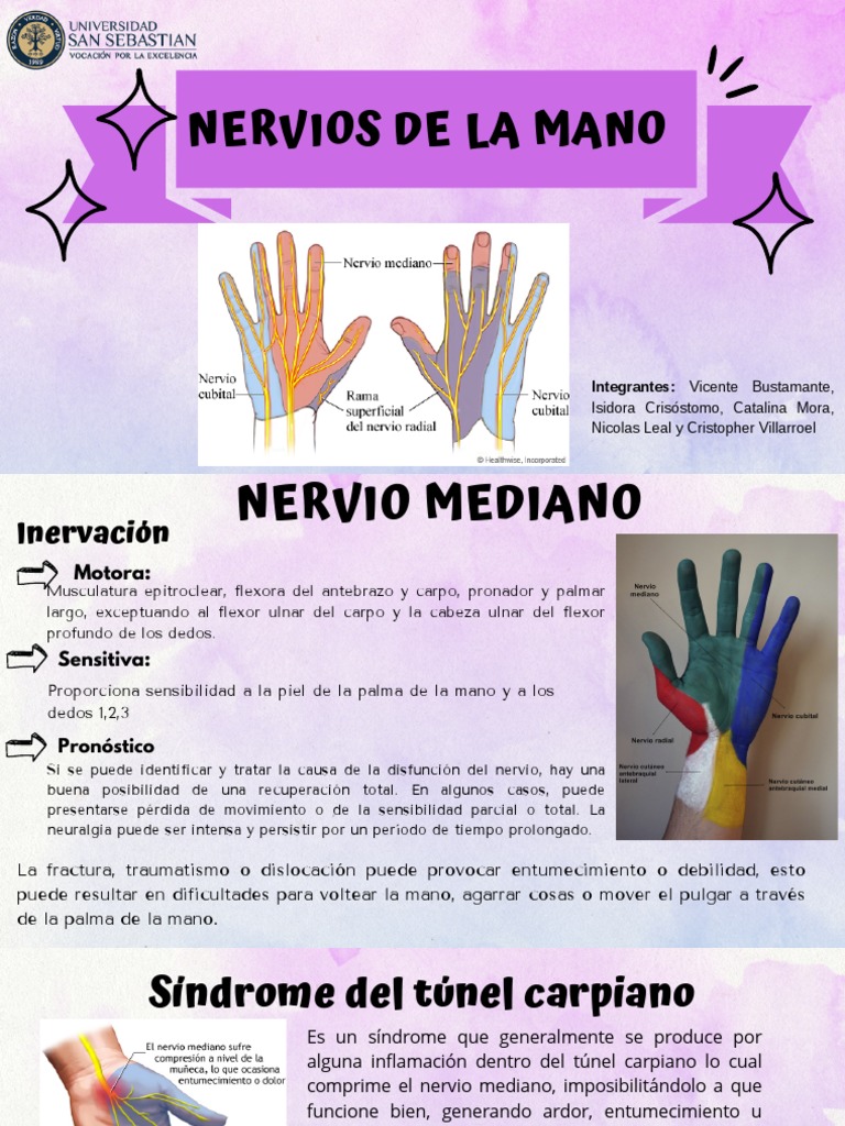 Nervios de La Mano: Integrantes: Vicente Bustamante | PDF