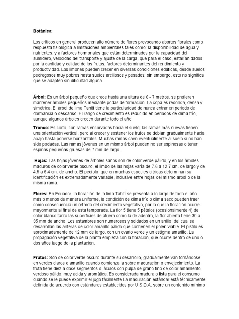 Marco Teorico de Limon | PDF | Arboles | Flores