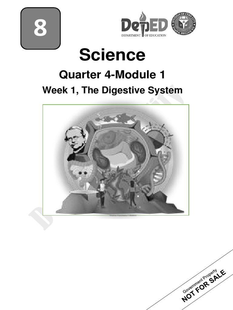 M1 Q4 Science-8 | PDF | Digestion | Human Digestive System